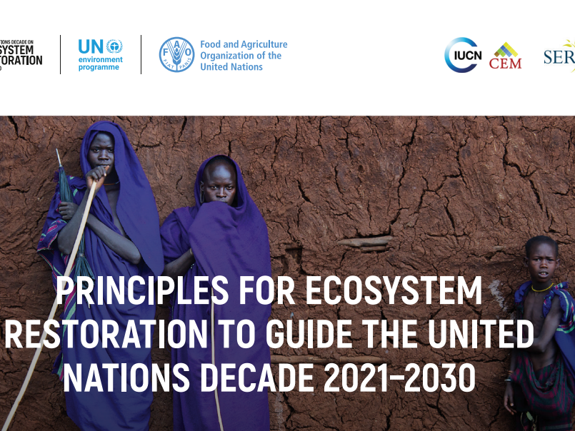 Principles for Ecosystem Restoration to Guide the United Nations Decade 2021-2030 | PIPAP